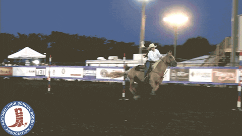 National High School Rodeo GIF - Find & Share on GIPHY
