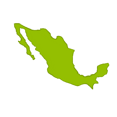 Mexico Tacos Sticker for iOS & Android | GIPHY