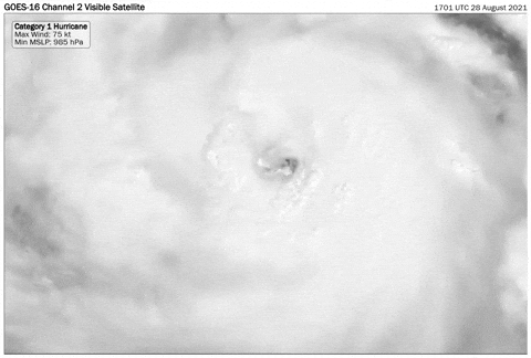 Category-1-hurricane GIFs - Get the best GIF on GIPHY