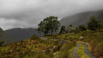 Ireland GIFs - Find & Share on GIPHY