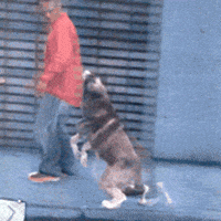 Dead Prez GIFs - Get the best GIF on GIPHY