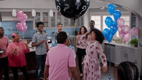 Gender Reveal Balloon GIFs - Get the best GIF on GIPHY