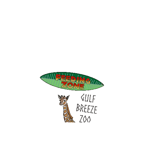 Gulf Breeze GIFs on GIPHY - Be Animated