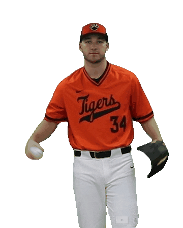 Baseball GIFs on GIPHY - Be Animated