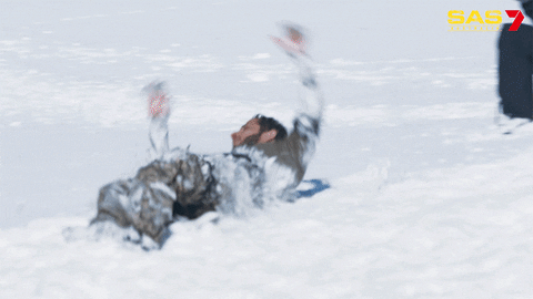 Fun Rolling GIF by Channel 7 - Find & Share on GIPHY