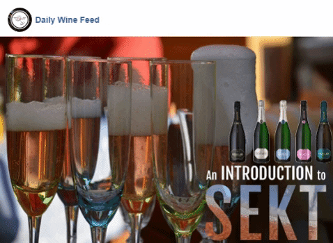 Wine Sparkling Gif By Gif - Find & Share on GIPHY