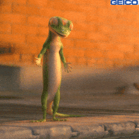 Geico Gif