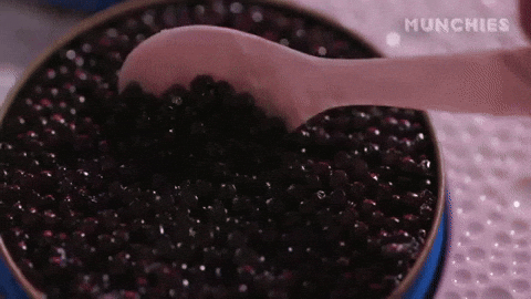 Spoonful-of-caviar GIFs - Get the best GIF on GIPHY