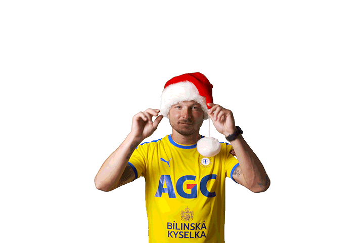 Football Soccer Sticker by FORTUNA:LIGA for iOS & Android | GIPHY