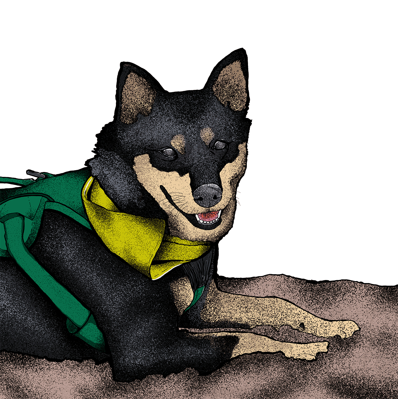 Shiba Inu Dog Sticker for iOS & Android | GIPHY