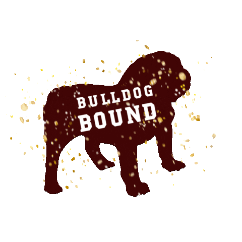 MS State Admit GIFs on GIPHY - Be Animated