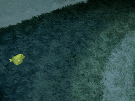 The Salmon Dance GIF by The Chemical Brothers - Find & Share on GIPHY