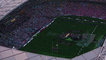 Stadium Australia GIFs on GIPHY - Be Animated