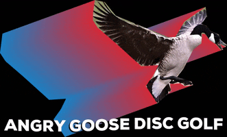 Angry Goose Disc Golf GIFs on GIPHY - Be Animated