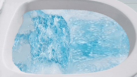 Toiletbowl GIFs - Get the best GIF on GIPHY