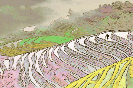 Terraced Field GIFs - Get the best GIF on GIPHY