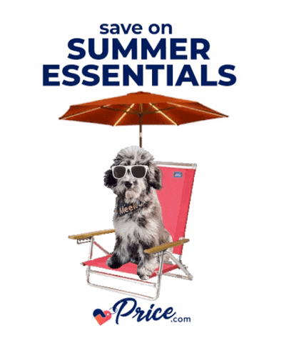 Staycay GIFs - Get the best GIF on GIPHY