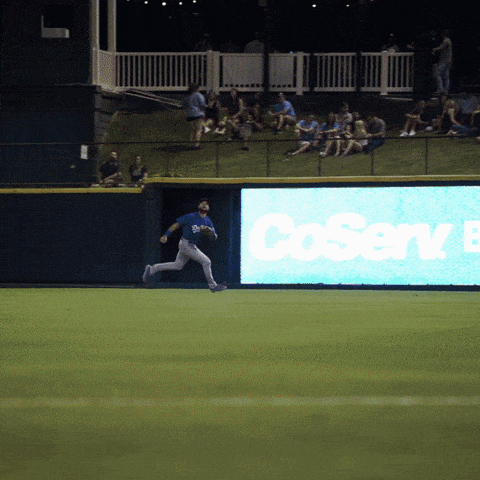 Baseball Catch GIF by Tulsa Drillers - Find & Share on GIPHY