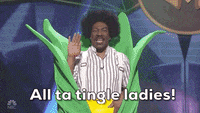 Single Ladies Gif Snl