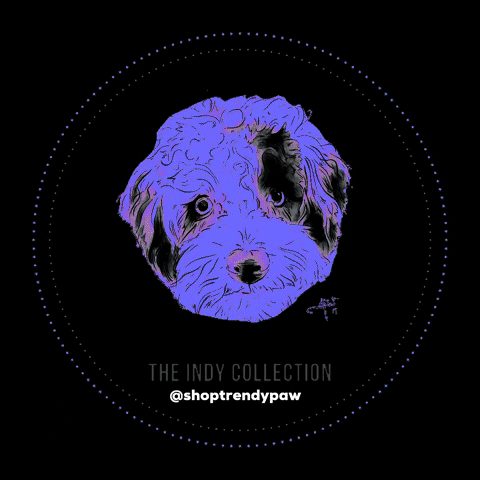 Trendy Paw GIFs on GIPHY - Be Animated