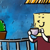 Rainy morning coffee.