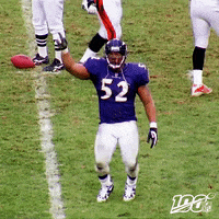 Ray Lewis Hit Gif