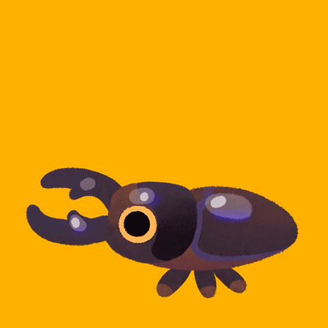 Stag Beetle What GIF by pikaole - Find & Share on GIPHY