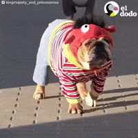 Halloween Costume Gif