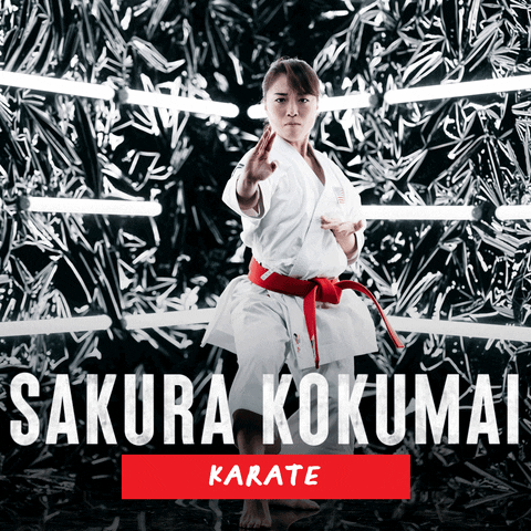 Karateka GIFs - Get the best GIF on GIPHY