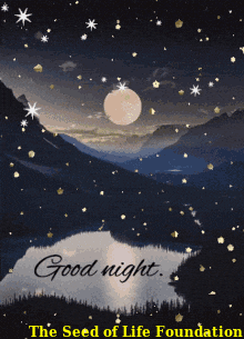 Beautiful Night GIFs - Get the best GIF on GIPHY