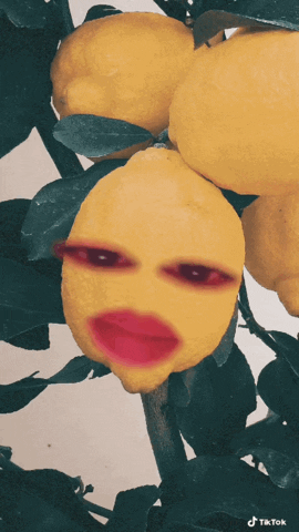 Animation Lemon GIF - Find & Share on GIPHY