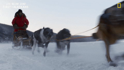 Sport Snow GIF by National Geographic Channel - Find & Share on GIPHY