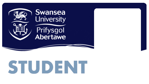 Swansea University Logo