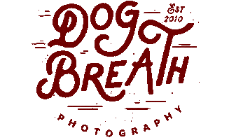 Dog Breath Photography GIFs on GIPHY - Be Animated