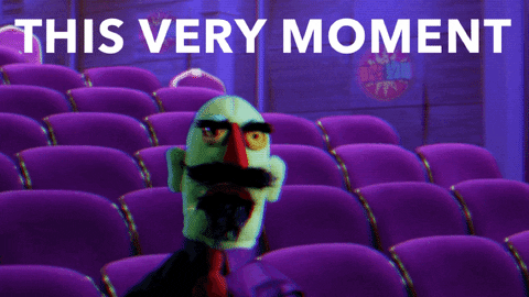 Baby-python GIFs - Get the best GIF on GIPHY