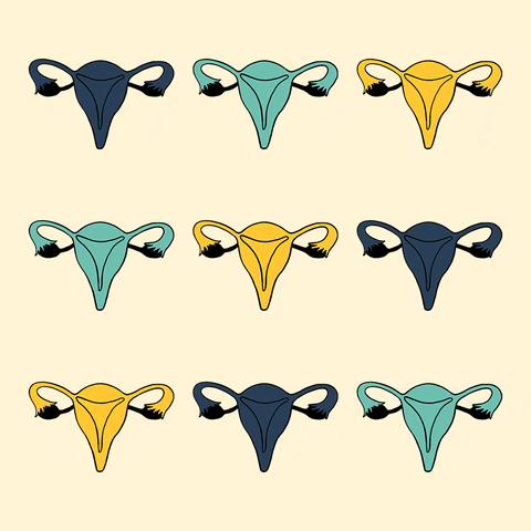 Its Time To Ovary Act GIFs - Get the best GIF on GIPHY