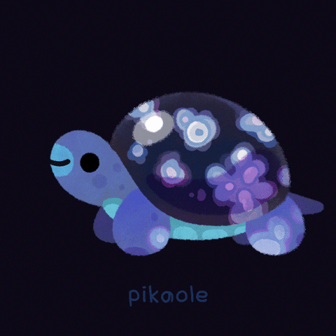 Animated Turtle Gif