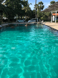 Swimming Pool GIF by valampuriresort - Find & Share on GIPHY