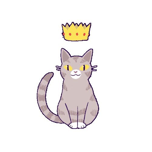 Floating Cat GIFs - Get the best GIF on GIPHY