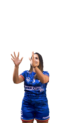 ROC Aveyron Handball GIFs on GIPHY - Be Animated