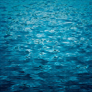 Fireworks No Background GIFs - Find & Share on GIPHY