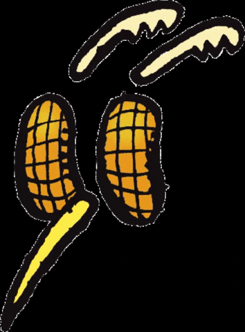 Insecte Mouche GIF by Amnesty France - Find & Share on GIPHY