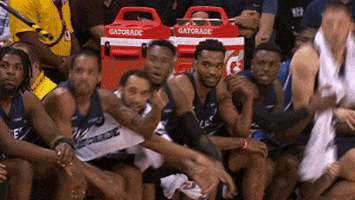 Excited Minnesota Timberwolves GIF by NBA - Find & Share on GIPHY