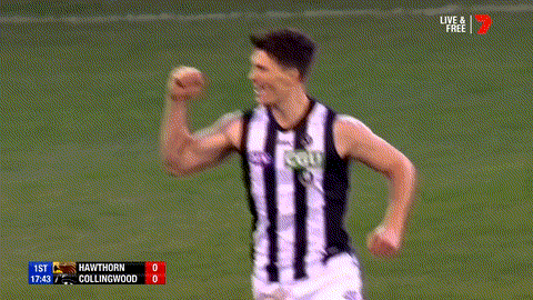 Aussie Rules Reaction GIF by AFL - Find & Share on GIPHY