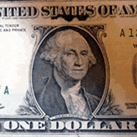 Dollar Bill Gif