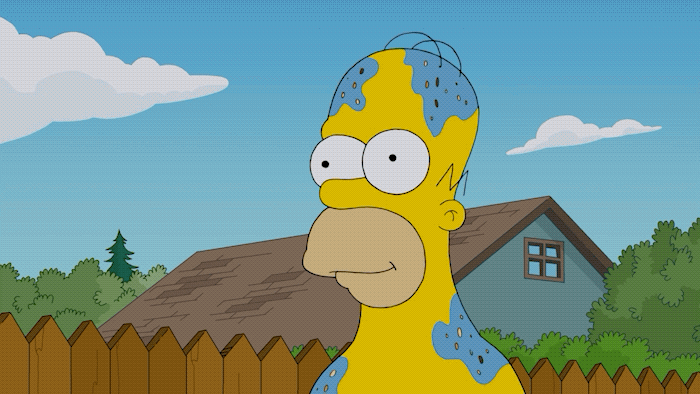 Confused Homer Simpson GIF by FOX TV - Find & Share on GIPHY