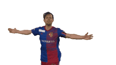 FC Basel 1893 GIFs on GIPHY - Be Animated
