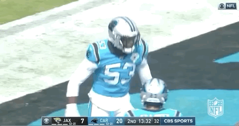 Carolina Panthers Football GIF by NFL - Find & Share on GIPHY