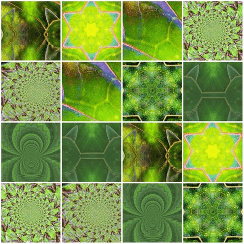 Geometric Pattern GIFs - Get the best GIF on GIPHY