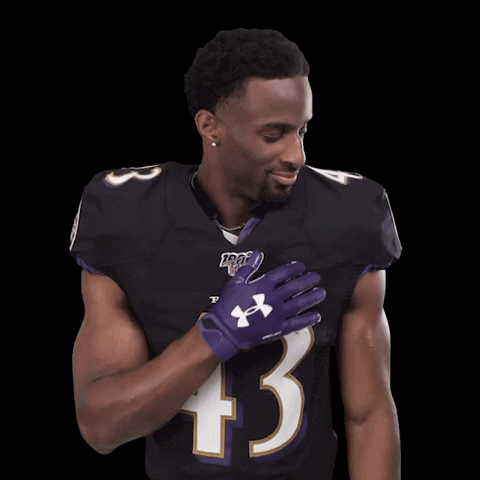 Baltimore Ravens Football GIF by NFL - Find & Share on GIPHY
